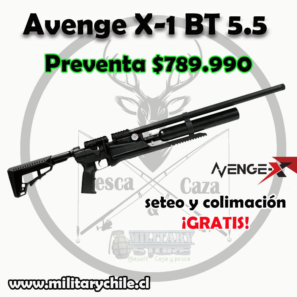 RIFLES PCP | Military Chile